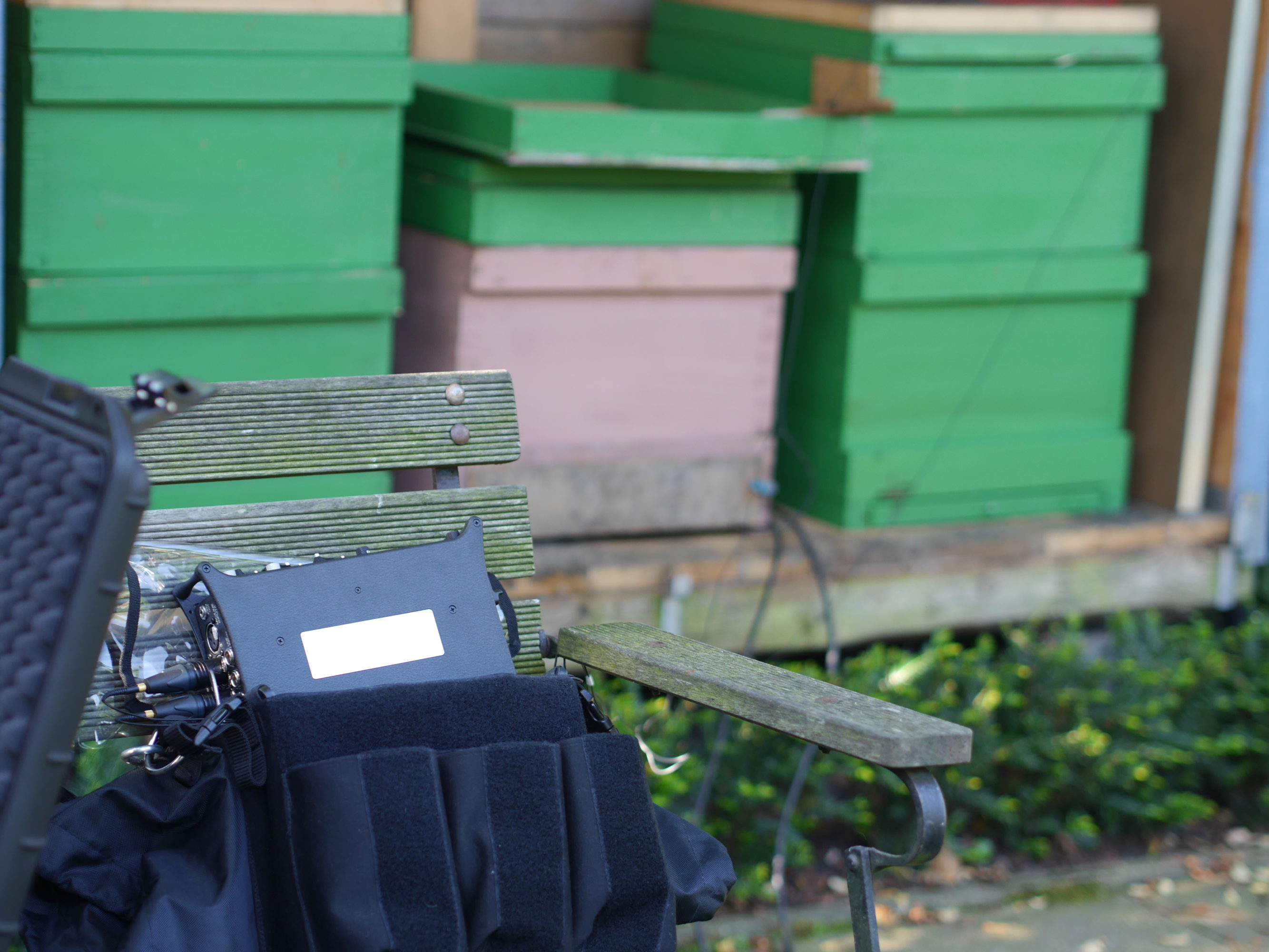 INSECT SOUND Library - 3.6 GB of stunning Bee Sounds, Fly Sounds ...